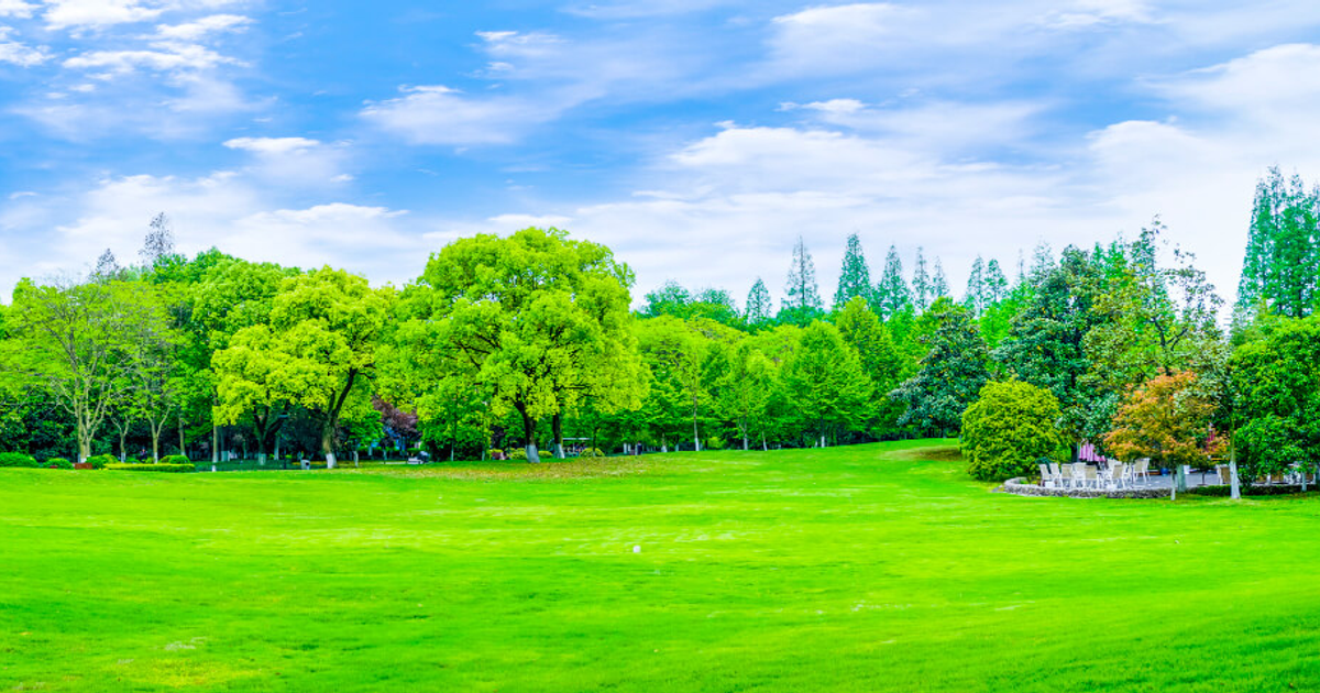 15 Turfgrass Statistics That May Surprise You - BungalowFinder